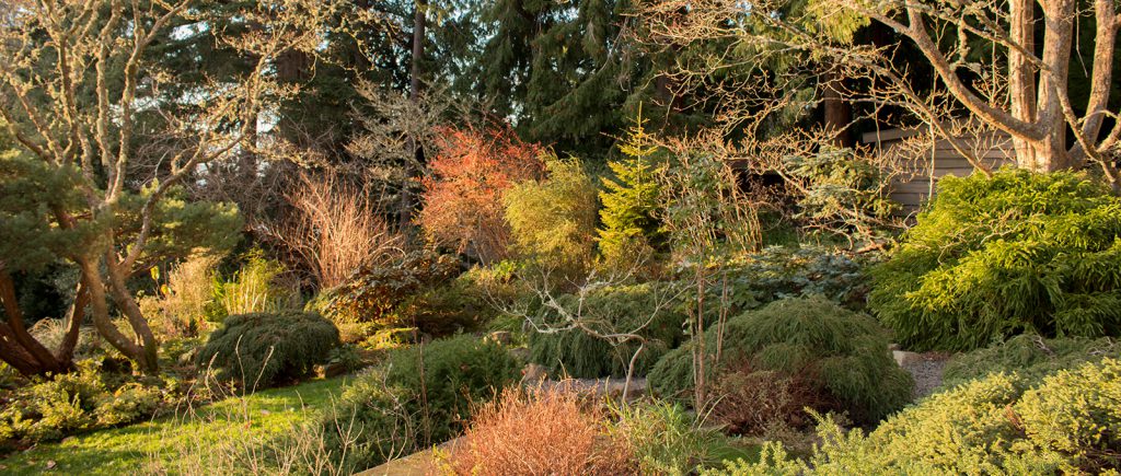 Tours - Elisabeth C. Miller Botanical Garden